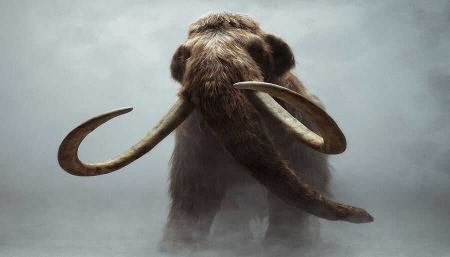 A Colossal Undertaking: $15 Million Paves the Way for Woolly Mammoth ...