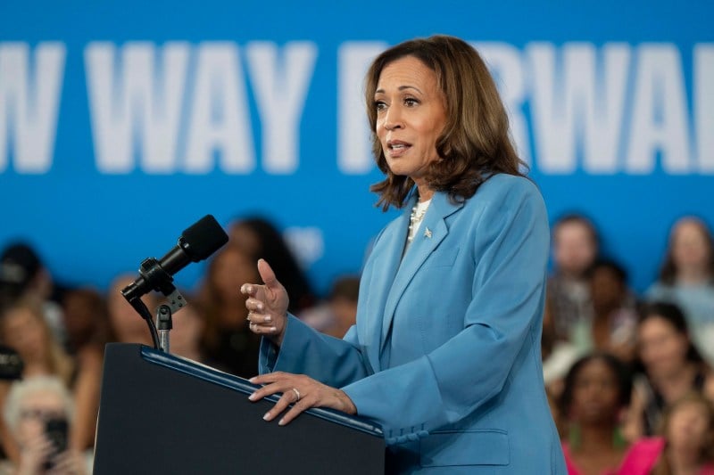 Kamala Harris' Economic Plan and its Repercussions - The Sunday Diplomat